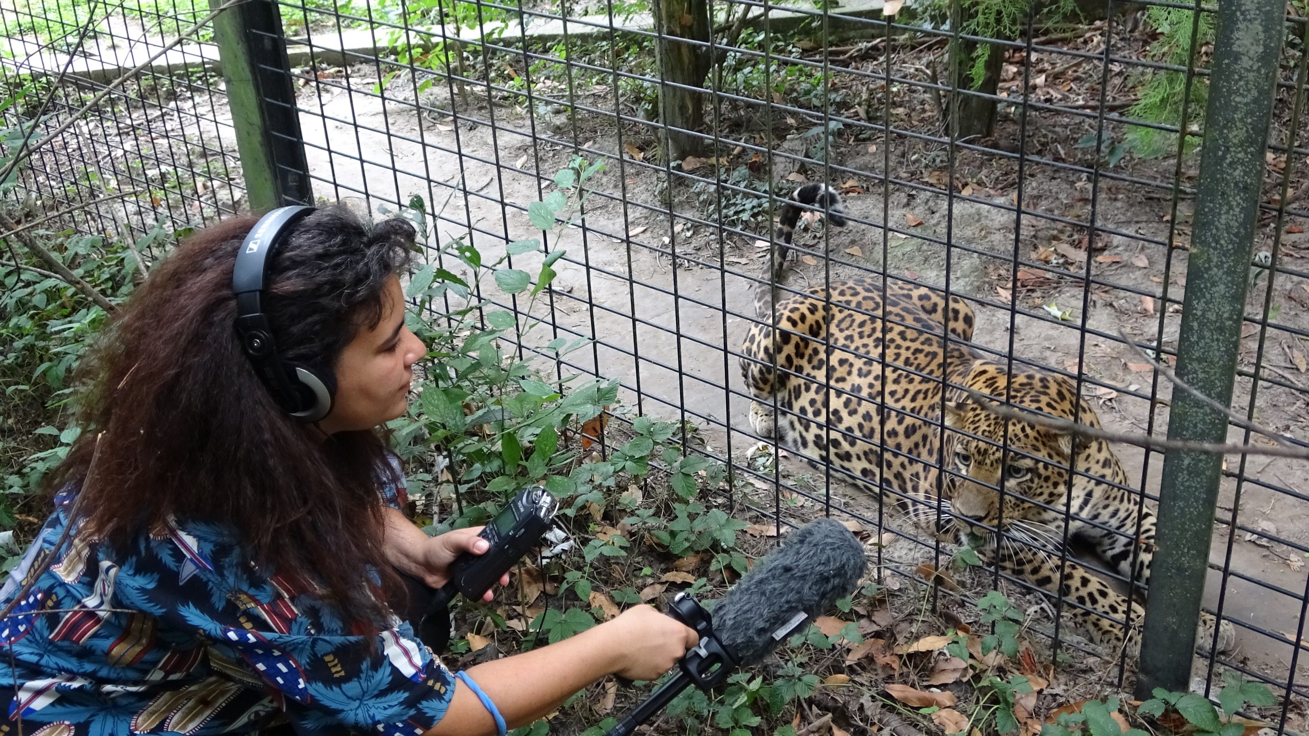 “Hey, you sound familiar, I know who you are!” Discovering acoustic ...